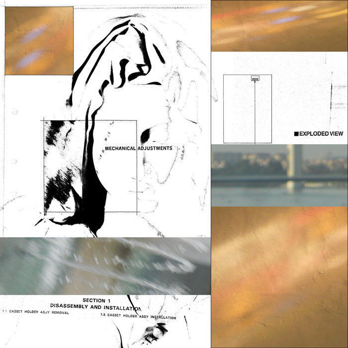 Interview | Wall Disney, László Tóth | Formaldehyde Production