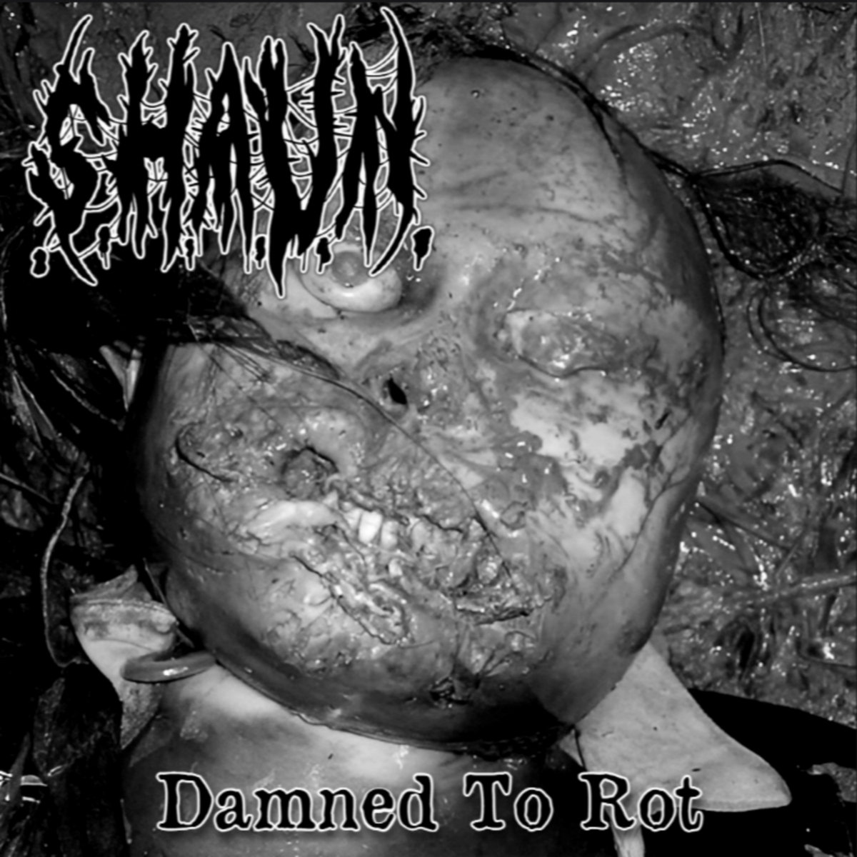 Damned to Rot | Septic Hell and Urethral Napalm