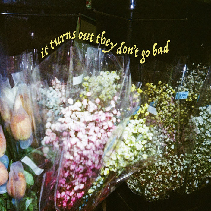 it turns out they don’t go bad | adias