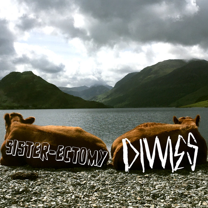 Sister-ectomy | DIVVIES