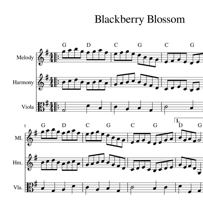 Blackberry Blossom Bluegrass Harmony Sheet Music fiddle duet and cello ...