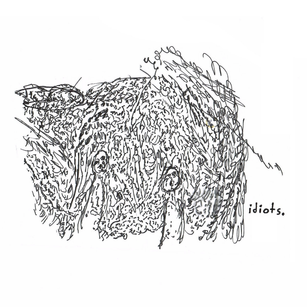 the complete IDIOTS. sessions | idiots. | drew brownstein