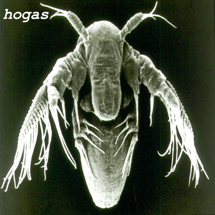 larvas | hogas