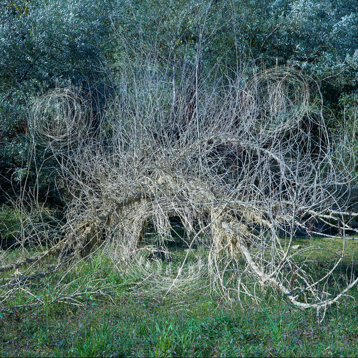 Ghost Fractal | CTPAX I PEKA | nostalgie de la boue