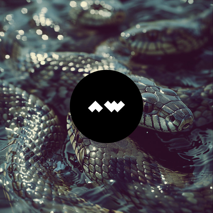 Perception EP | Joey Risdon | Acid Wizard Records