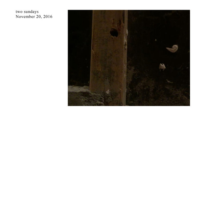 two sundays | aaron dowdy, nick james scavo, xander seren | Foraging