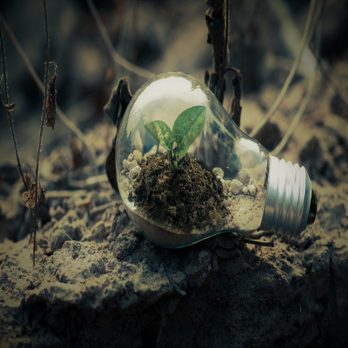 Perspective | Matthew Jamison