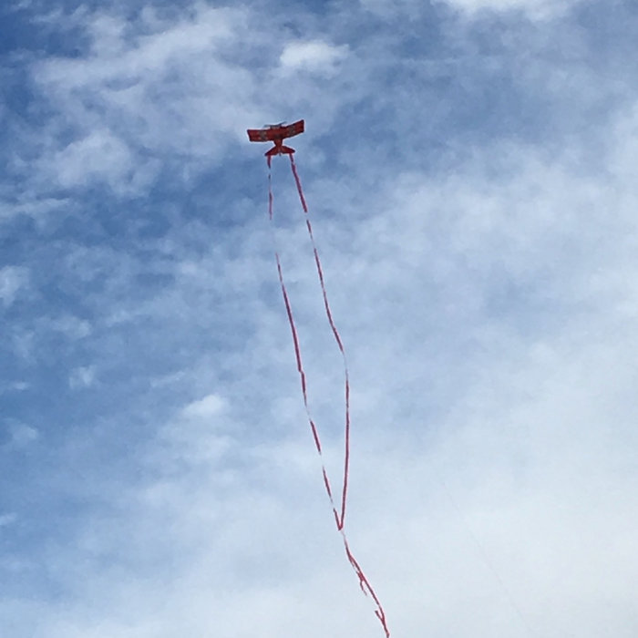 Sprung | Clown Prison