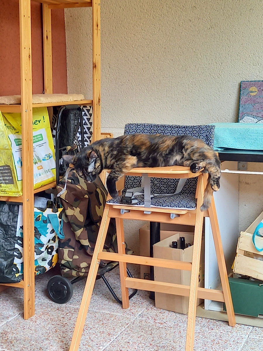 Session 30 Oct 2021 (Isma & Alex) | AXIV