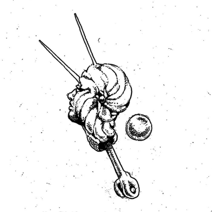 Echoes05 | Muskatt