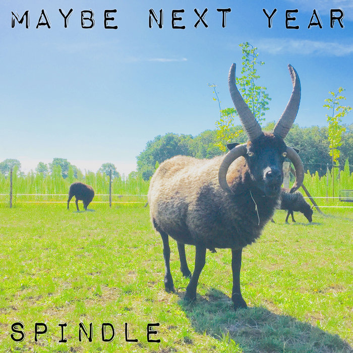 Maybe Next Year | Spindle