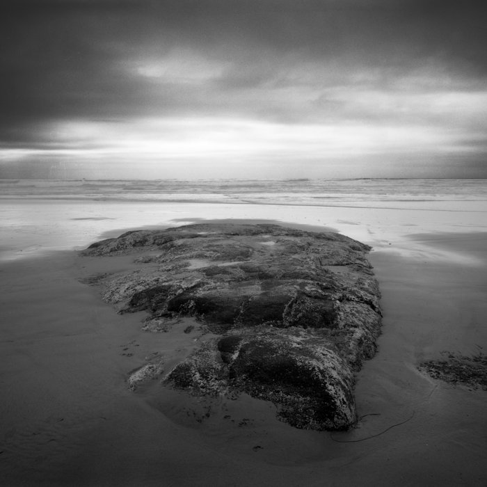 Guitar Music of Reginald Smith-Brindle | Sam Gutterman