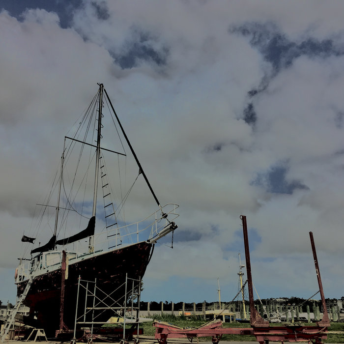 Fishbowl Jim and the Sonic Starfish | Grey Harper