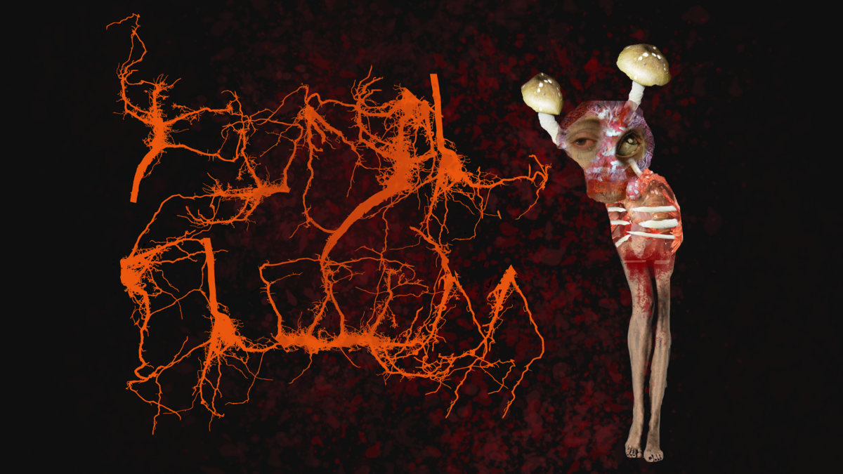 "21 Promo" | Fungal Bloom | FILTH RECORDS