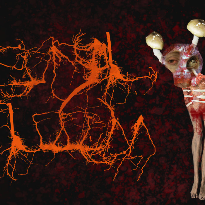 "21 Promo" | Fungal Bloom | FILTH RECORDS