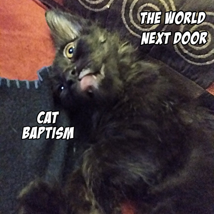 Cat Baptism | The World Next Door