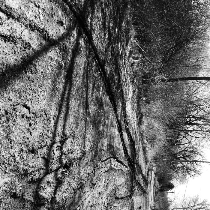 Material Apparitions | DESERT BEDS | erinome