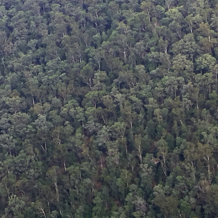 Volume 2 | Ghost Hobo