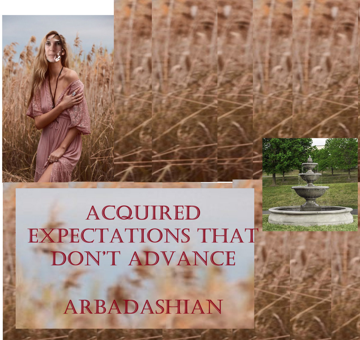 Acquired Expectations That Don’t Advance | Heather Mulloy | Arbadashian
