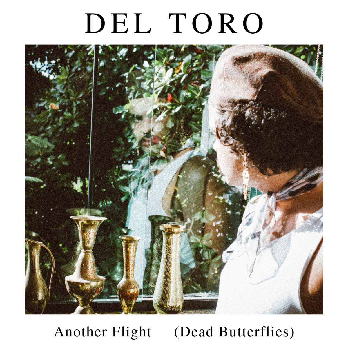 Another Flight (Dead Butterflies) | Del Toro