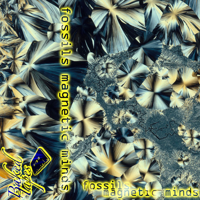 Magnetic Minds | Fossils | Baked Tapes