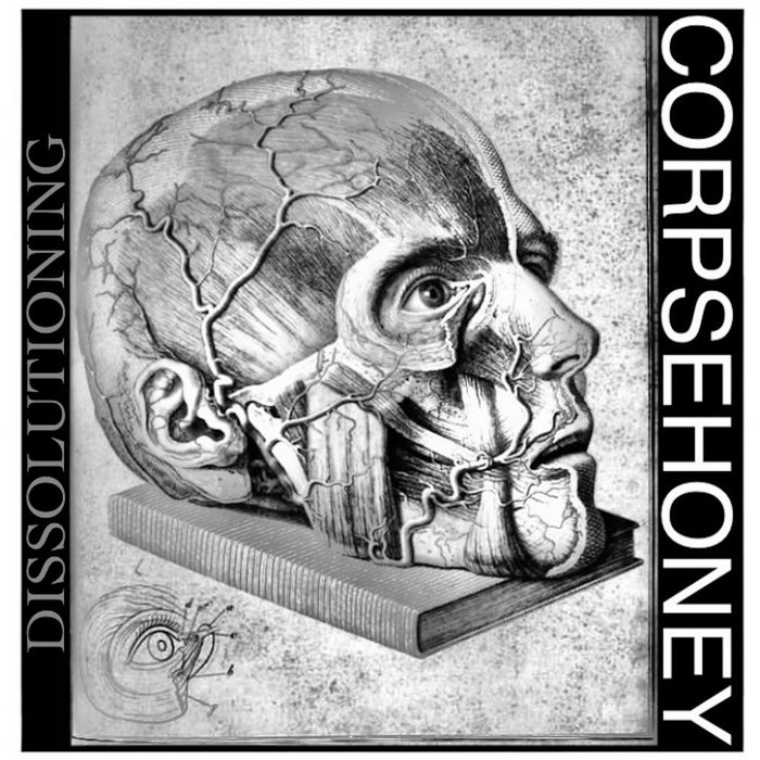 Dissolutioning (physical on NotF) | CORPSE HONEY | GATES of HYPNOS