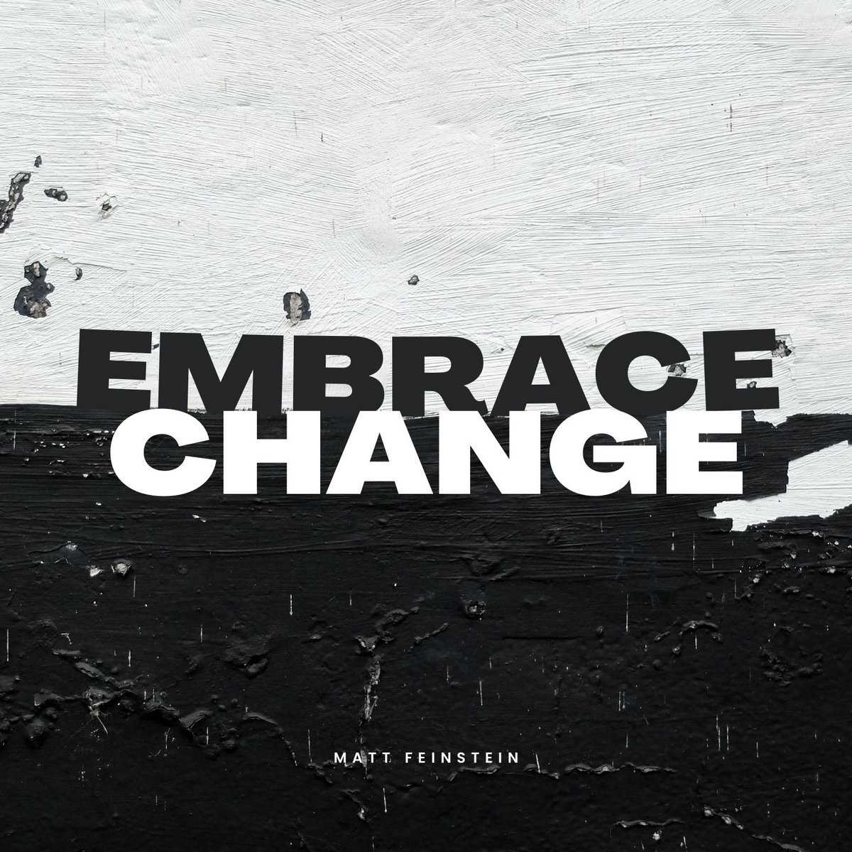 Embrace Change | Matt Feinstein