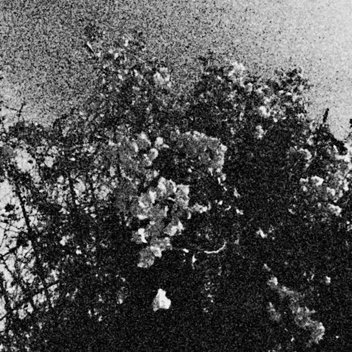 Edënohhdlha Hálgra Tu Majtranlh'ha / Ga Nëcëcta Mon Idlhi | Trhä ...