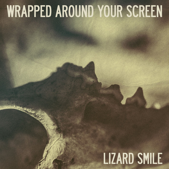 Wrapped Around Your Screen | Lizard Smile