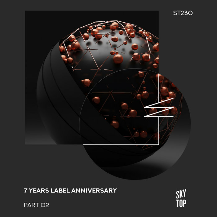 SkyTop - 7 Years Label Anniversary, Pt. 2 | Various Artists | Intricate ...