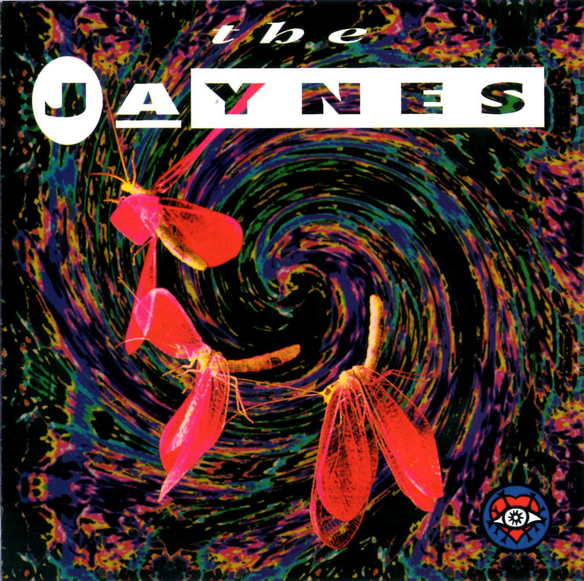 the JAYNES | The Jaynes