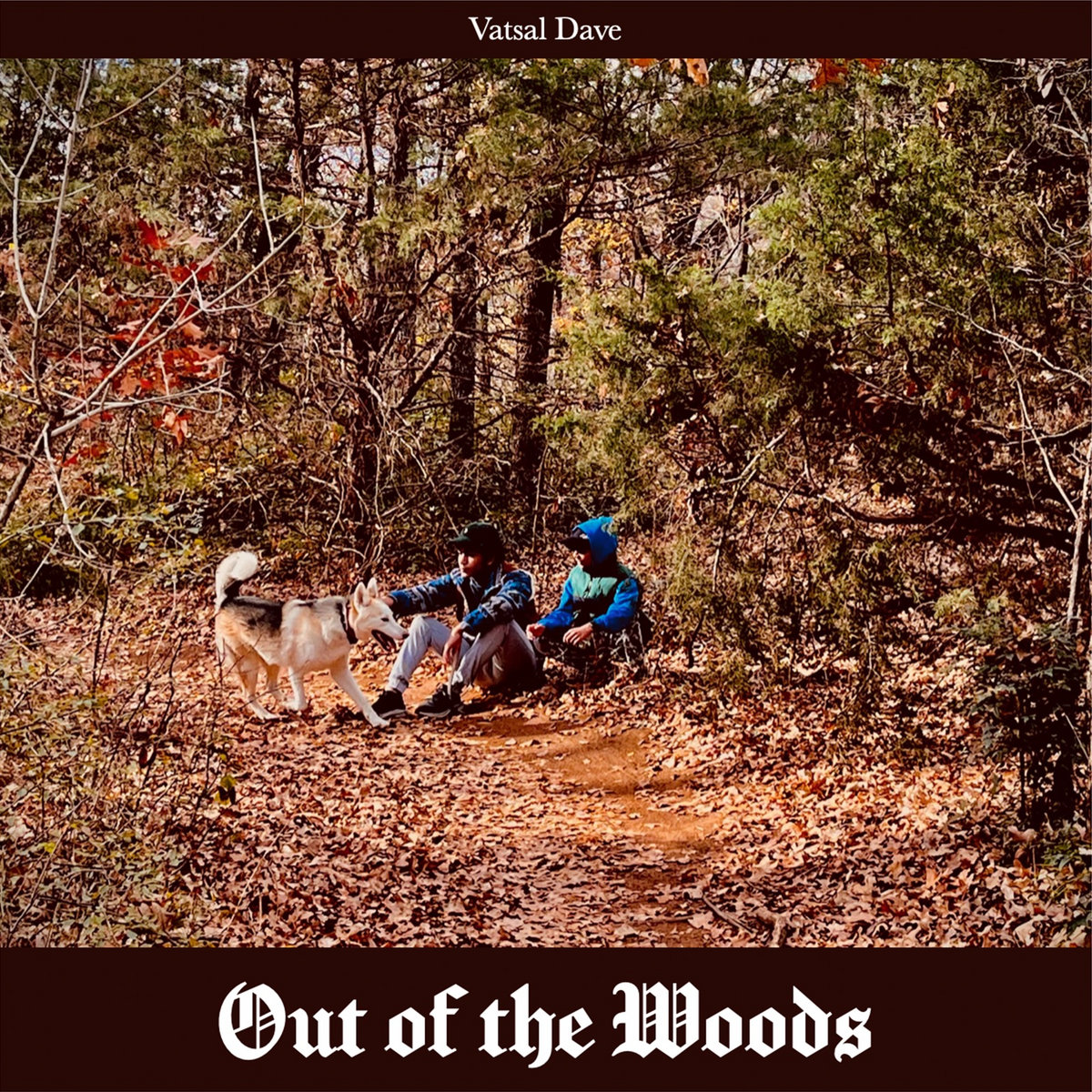 Out of the Woods | Vatsal Dave