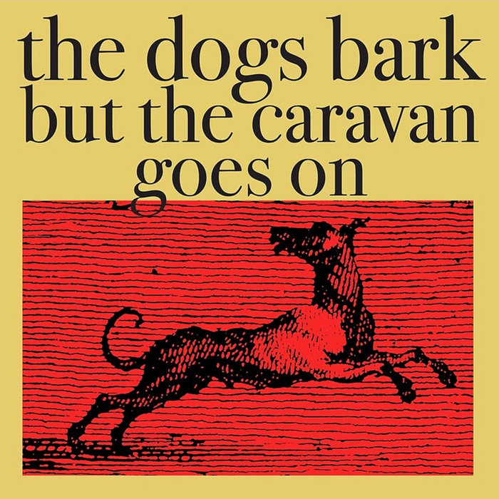 WAS DOGS BARK BUT CARAVAN GOES ON EDIT | LIFE OF SURPRISES