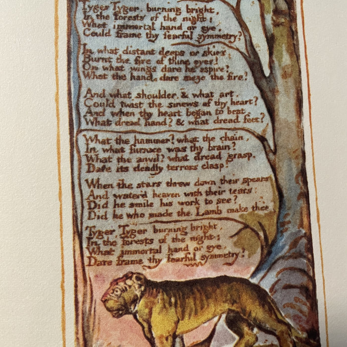 Tyger Tyger | Peacock's Tale Musical Storytelling