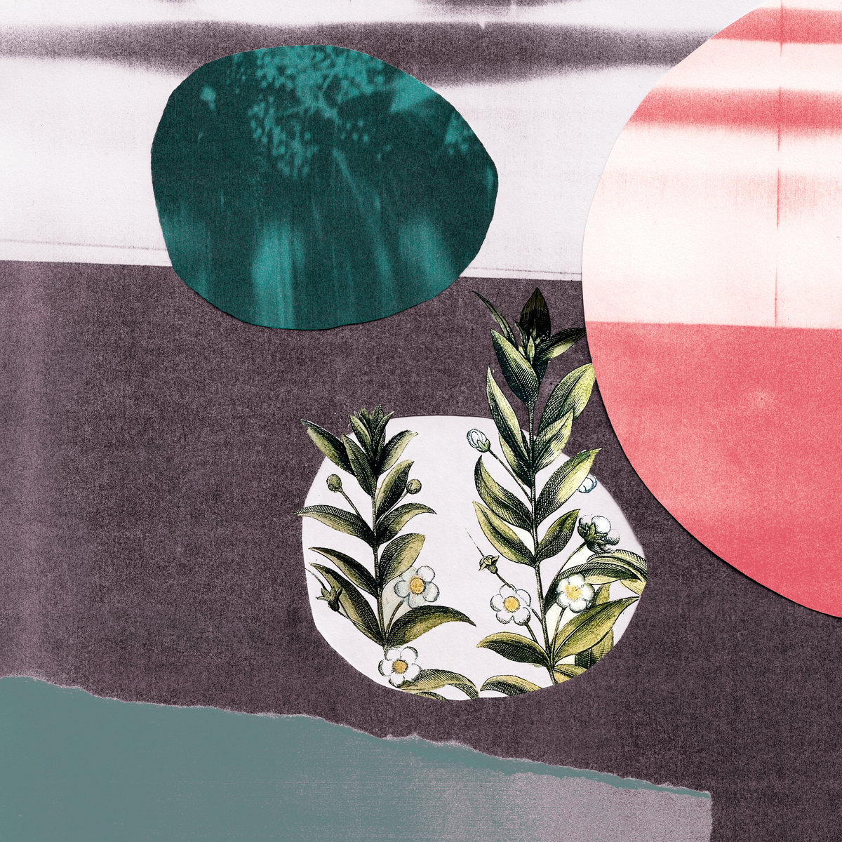 Tether | Matt Lowery