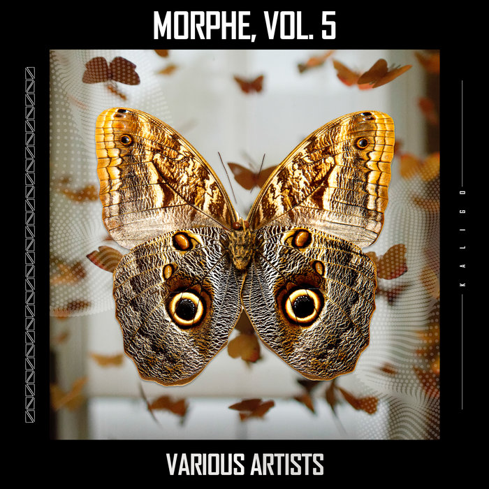 Morphe VA, Vol. 5 | Various Artists | Kaligo Records