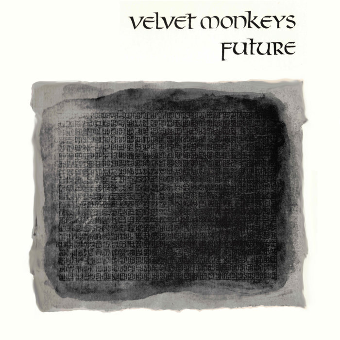 Future 20/40 | Velvet Monkeys