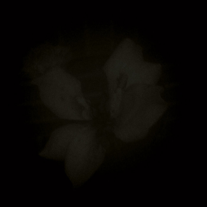 Transfigured | ERINOME | erinome