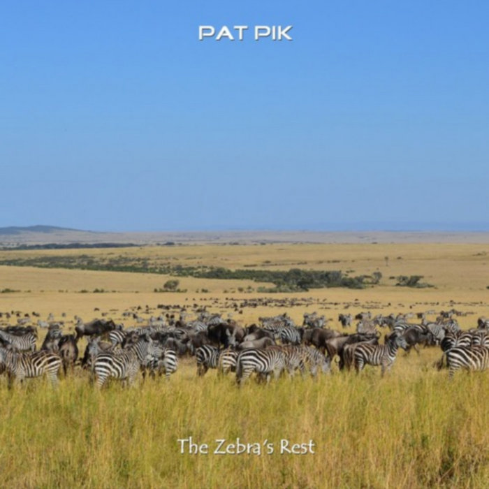 The Zebra's Rest | Pat Pik