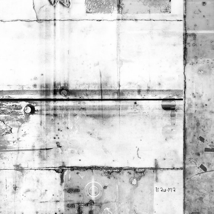 Frozen Bullets | Esteban Miranda | trau-ma