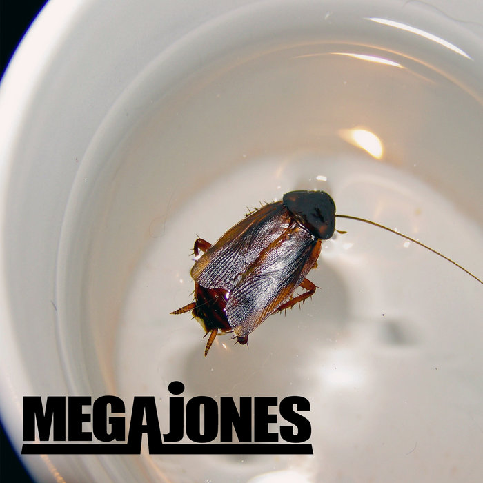 Mega Jones | Mega Jones