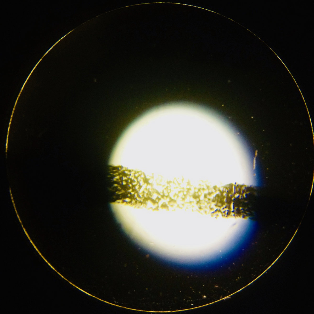 lovesong for wood and drill | Jeremy Rosenstock