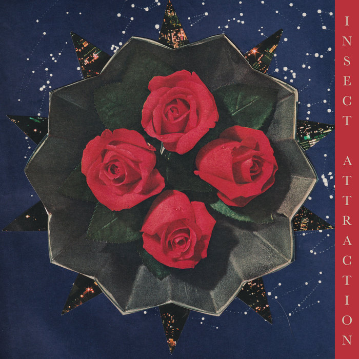 Insect Attraction | Gossip Cult