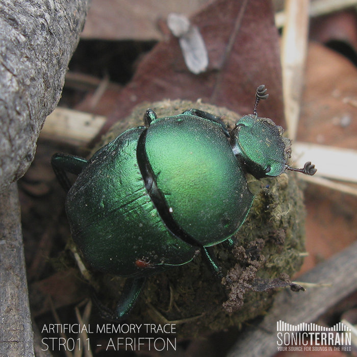 [STR 011] Afrifton | Artificial Memory Trace | Sonic Terrain