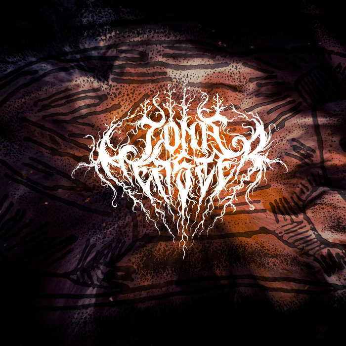 Stars | Zona Heaster