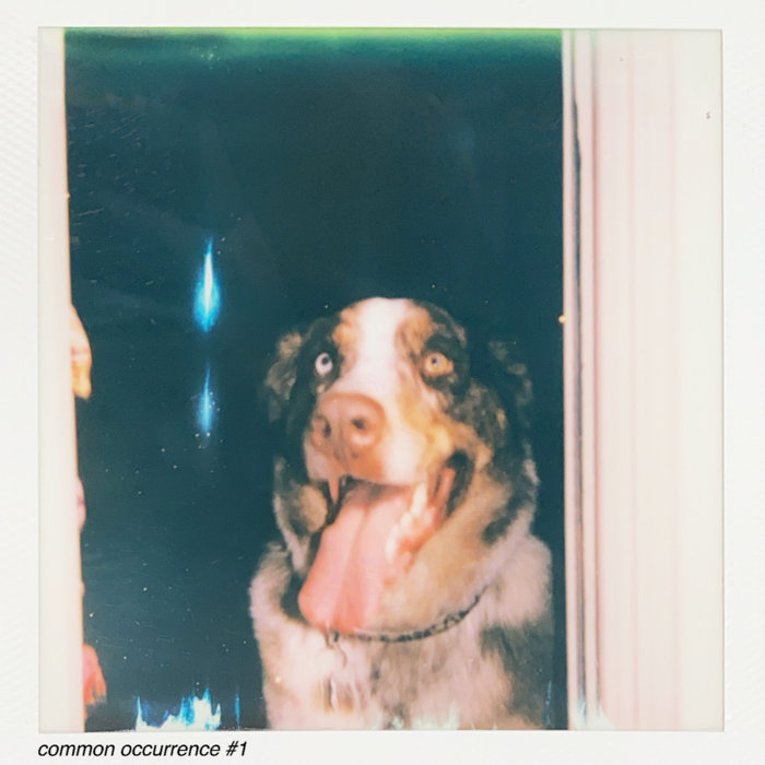 common occurrence #1 | common occurrence!