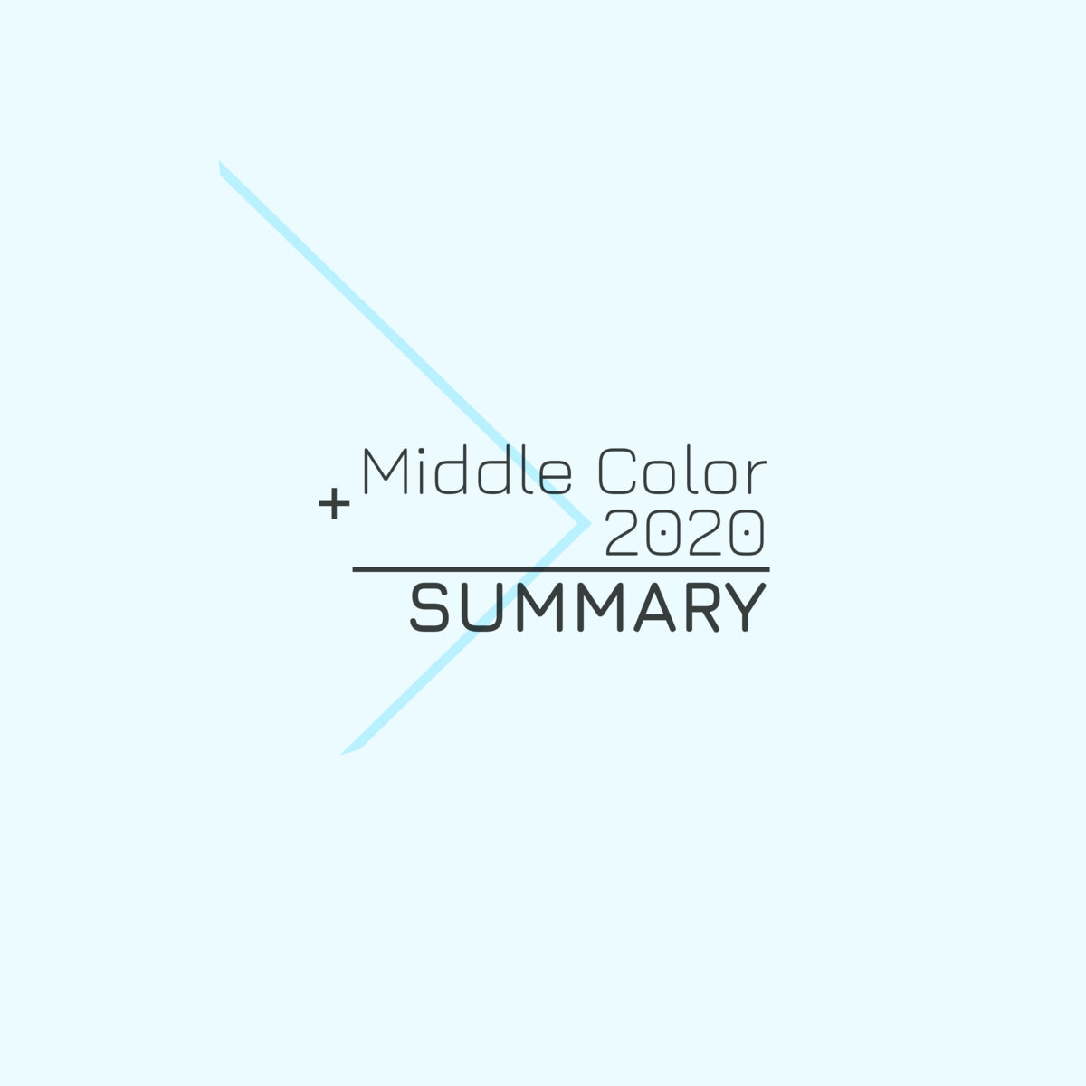 2020 Summary | Middle Color | middle color umbrella