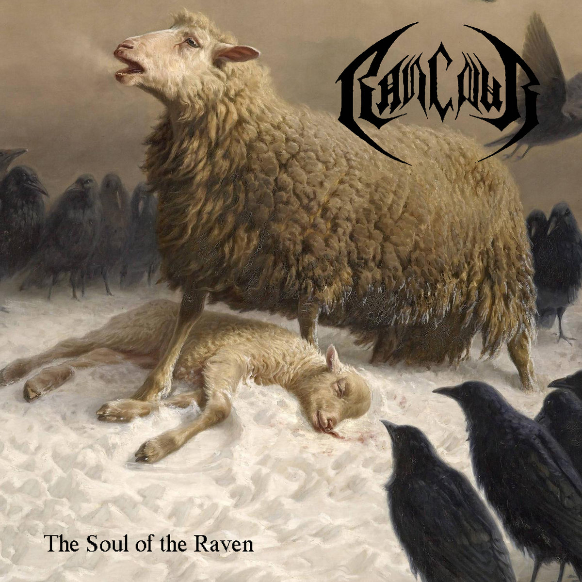 The Soul Of The Raven | Rancour | Narcoleptica Productions