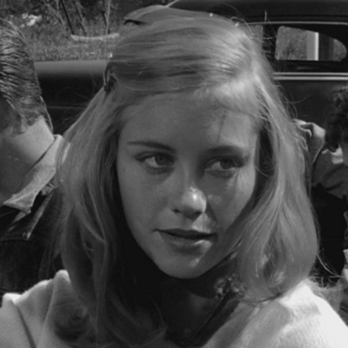 Henry Fool | Henry Fool