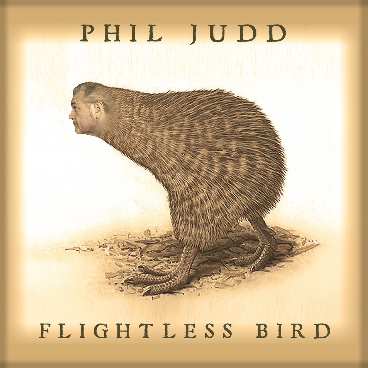 FLIGHTLESS BIRD ~ 2019 solo album | PHIL JUDD | Phil Judd